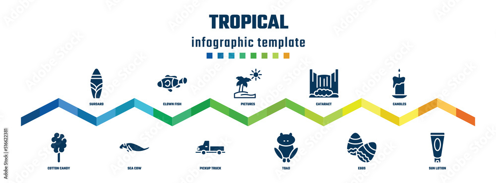 tropical concept infographic design template. included suroard, cotton ...