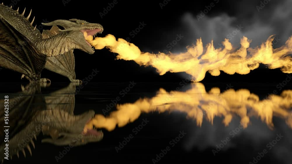 Realistic dragon breathes fire on a black background on a reflective ...
