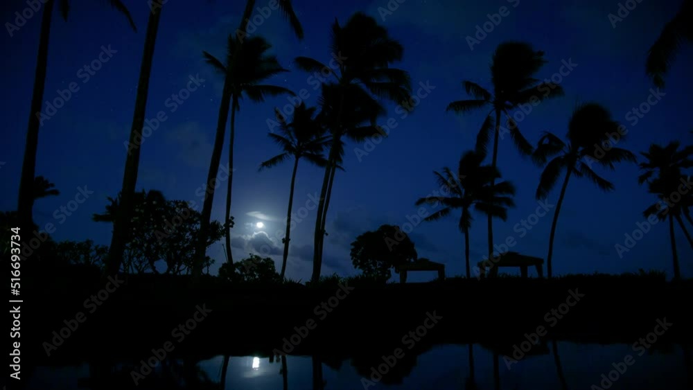 Full moon glow over beach resort at night. Cinematic night slow motion ...