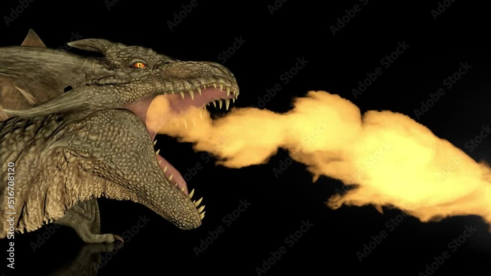 Realistic dragon breathes fire on a black background on a reflective ...