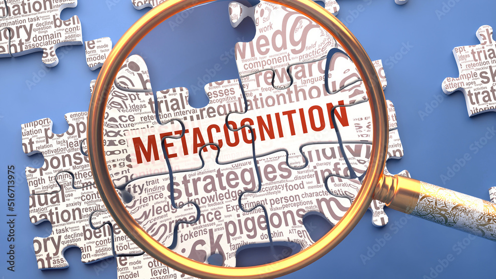 Metacognition as a complex and multipart topic under close inspection ...