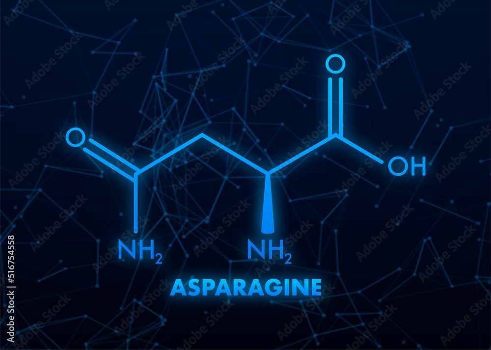 Molecular biology. Asparagine L-asparagine , Asn, N amino acid molecule ...