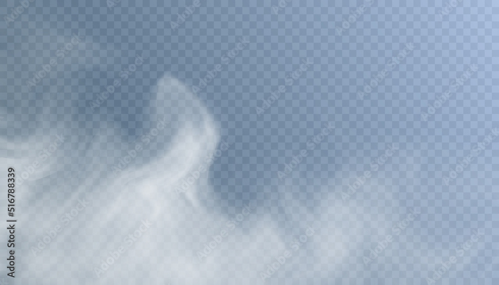 Translucent smoke isolated on a transparent background. Steam effect ...