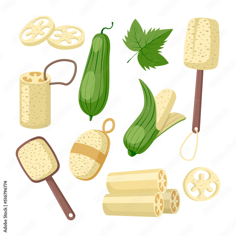 Photo & Art Print Products made from luffa vector illustrations set ...