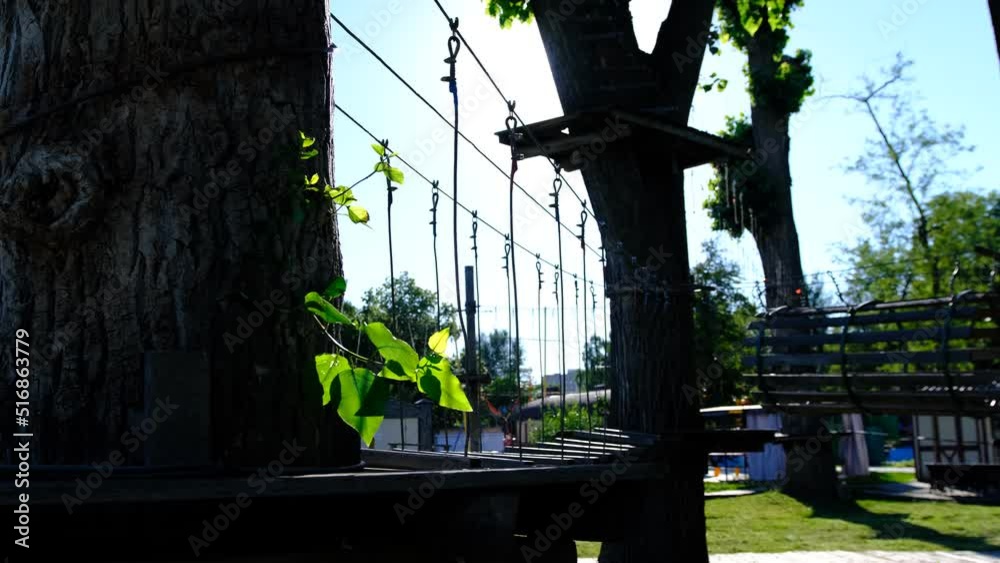Rope park in the middle of the forest. Passing sports obstacles above ...