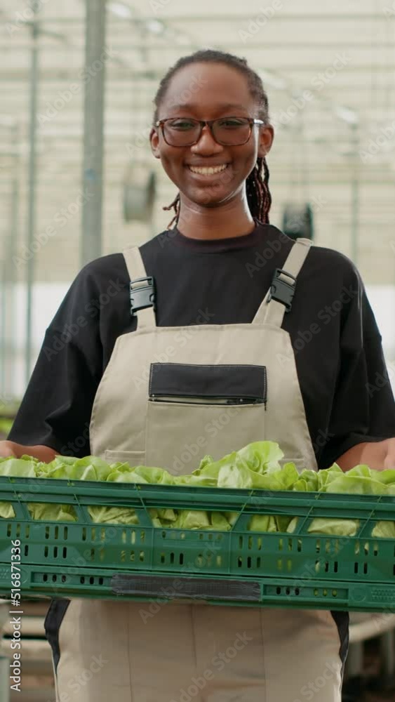 Vidéo Stock Portrait of organic food grower showing crate with fresh ...