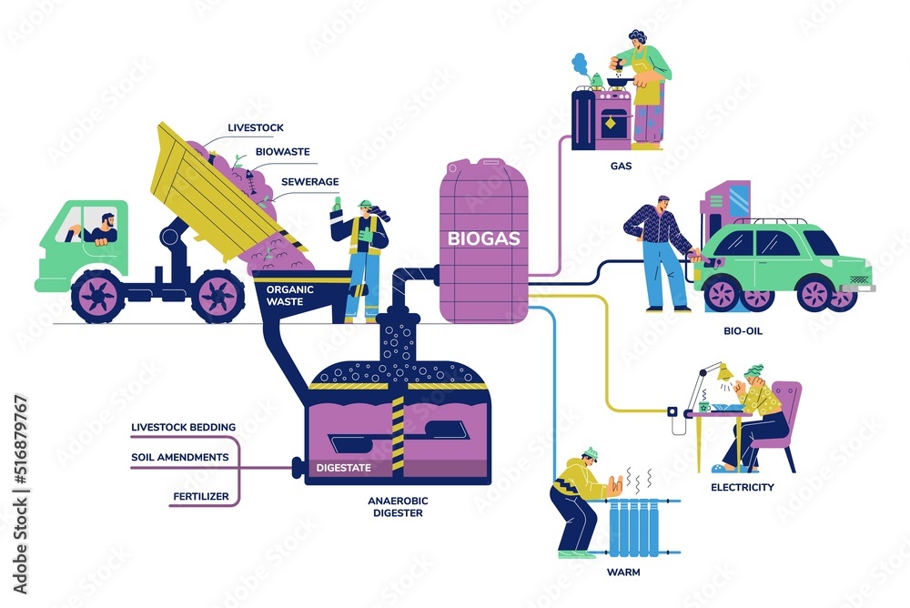 Biogas division diagram with digester generating gas fuel, flat vector ...