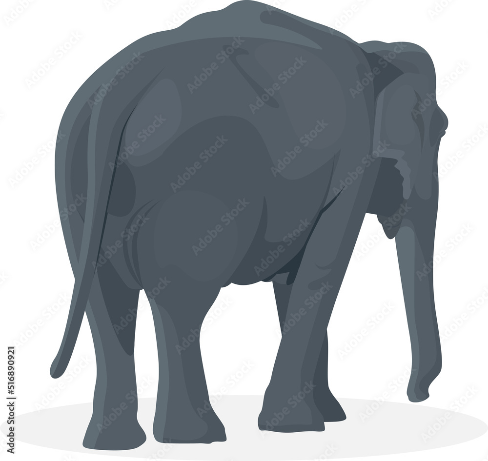 Elephant walking illustration, Big animals, Backside Stock Vector ...