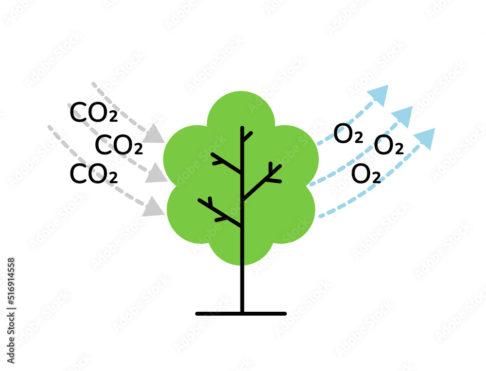 Vetor de Tree absorbs CO2 and releases O2 linear style scheme vector ... Vetor de Tree absorbs CO2 and releases O2 linear style scheme vector ...