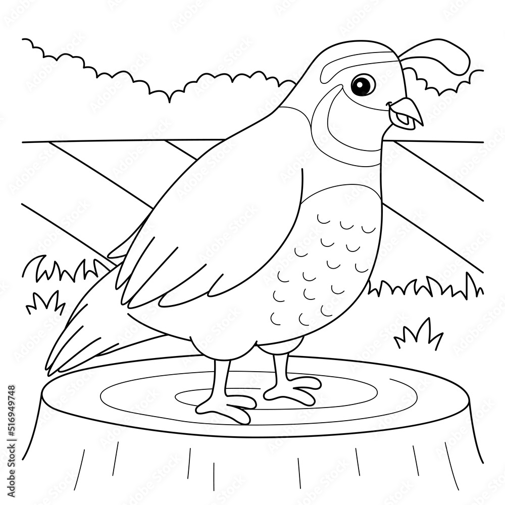 Quail Animal Coloring Page for Kids Stock Vector | Adobe Stock