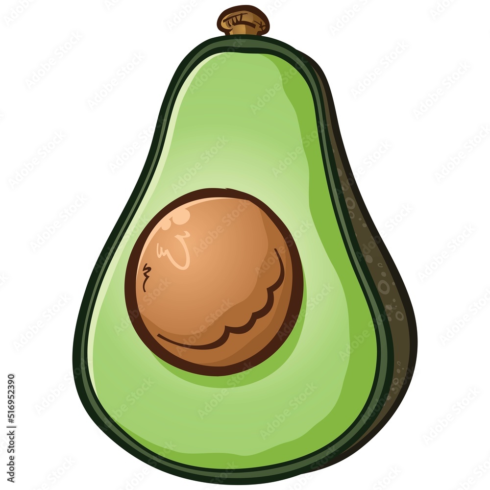 A half of fresh ripe green avocado fruit cartoon vector illustration ...