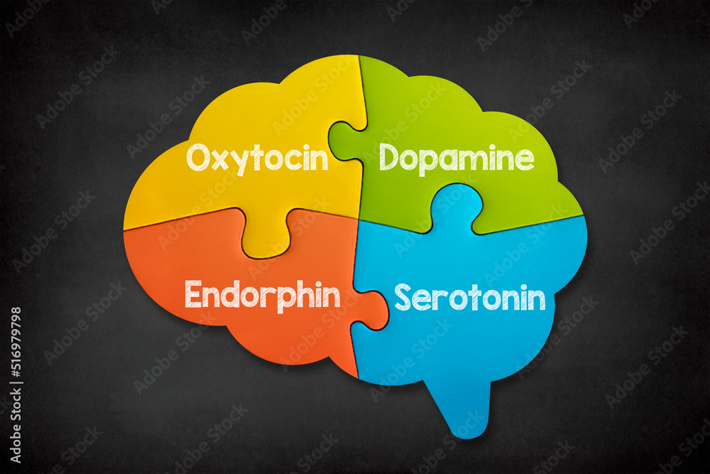 Human brain made of puzzle with hormone biochemical concept on black ...
