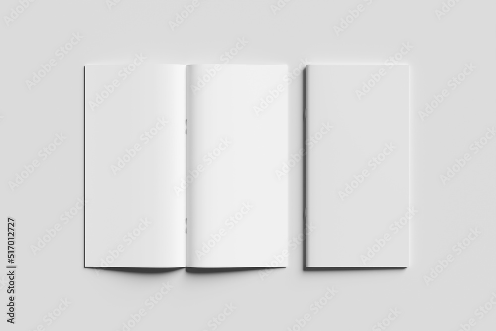 Blank DL Bi-Fold Mockup Stock Illustration | Adobe Stock
