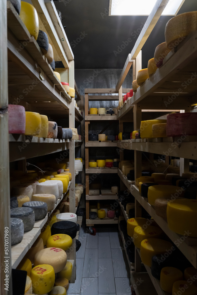 Farm cheese production. Cheese of different varieties on the shelves in ...