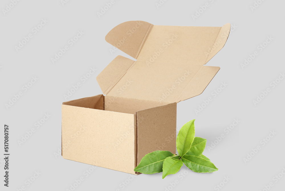 Cardboard box and green leaves on light grey background. Eco friendly ...