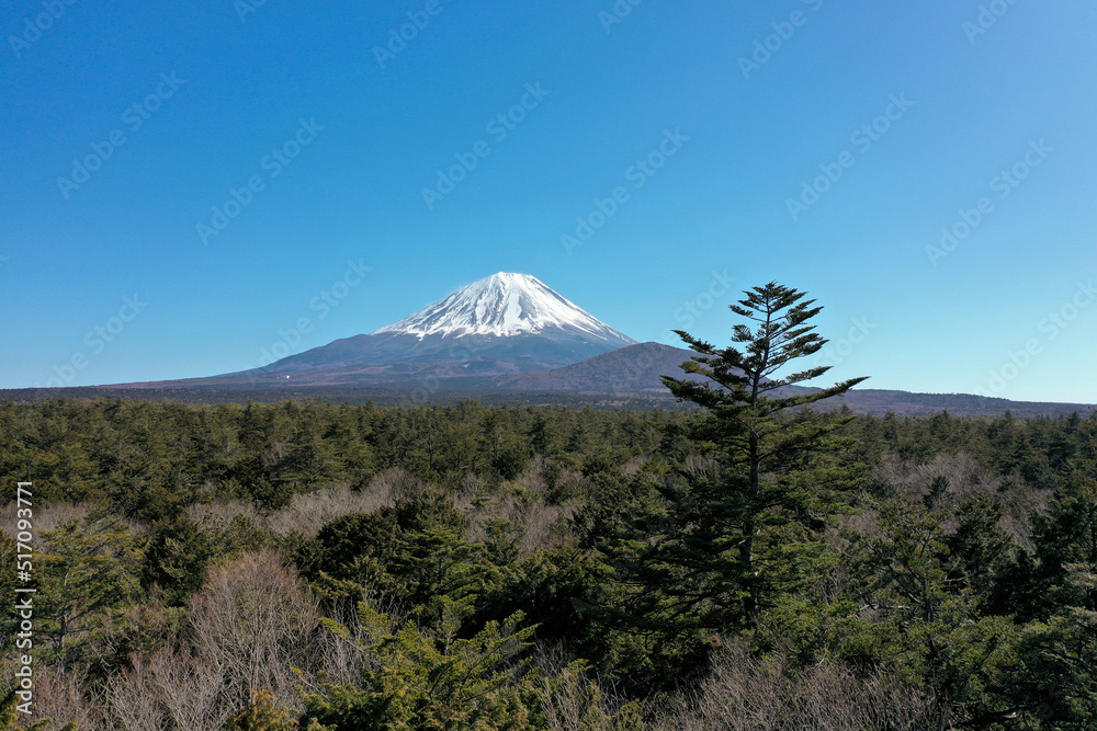 Mt Fuji and Forest of Aokigahara in Japan Stock 写真 | Adobe Stock