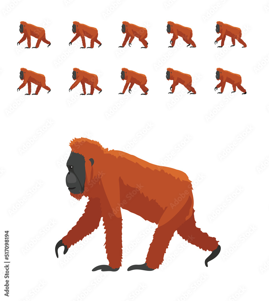 Animal Animation Primate Ape Orangutan Walking Frame Sequence Cute ...