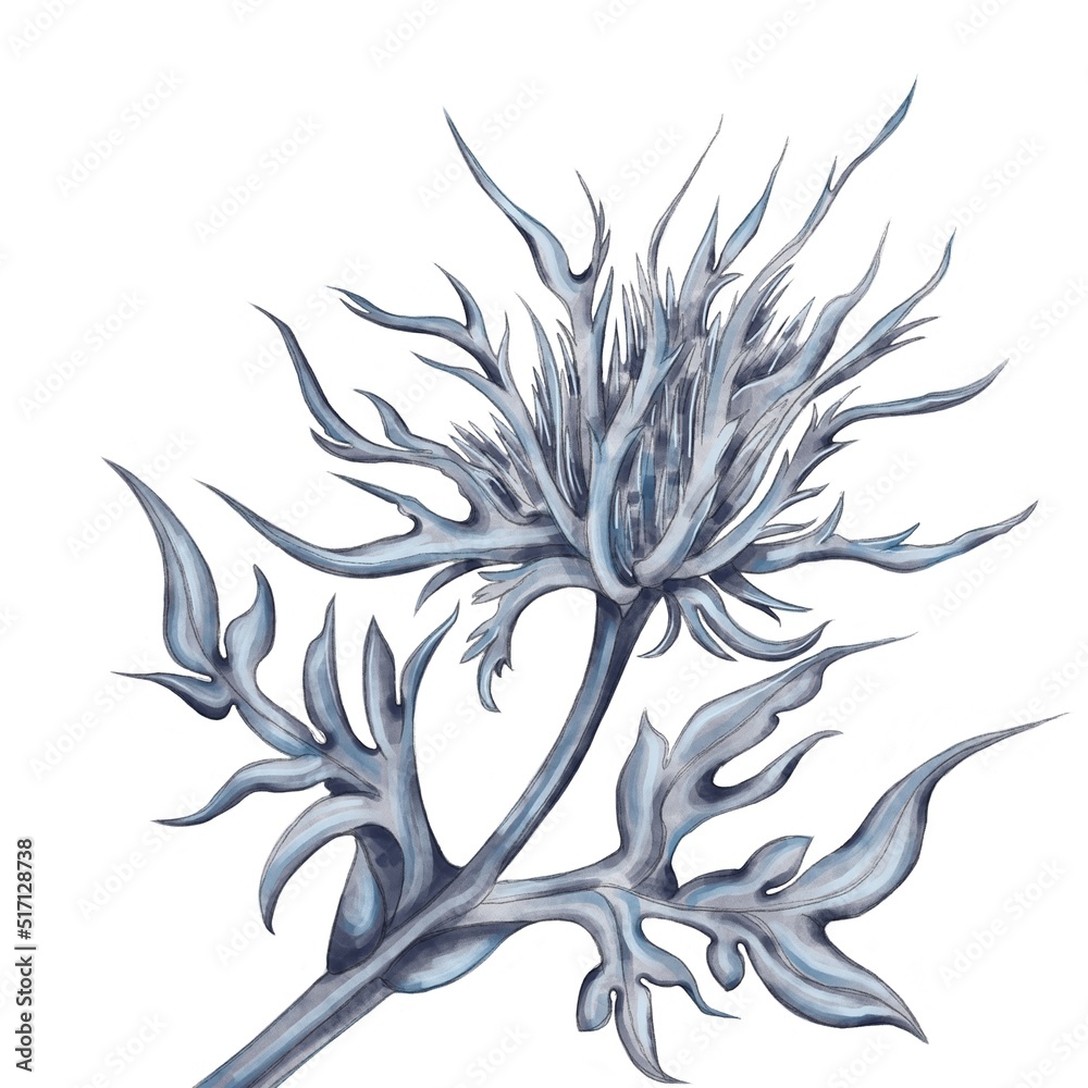 ภาพประกอบสต็อก abstract floral design. Botanical illustration of ...