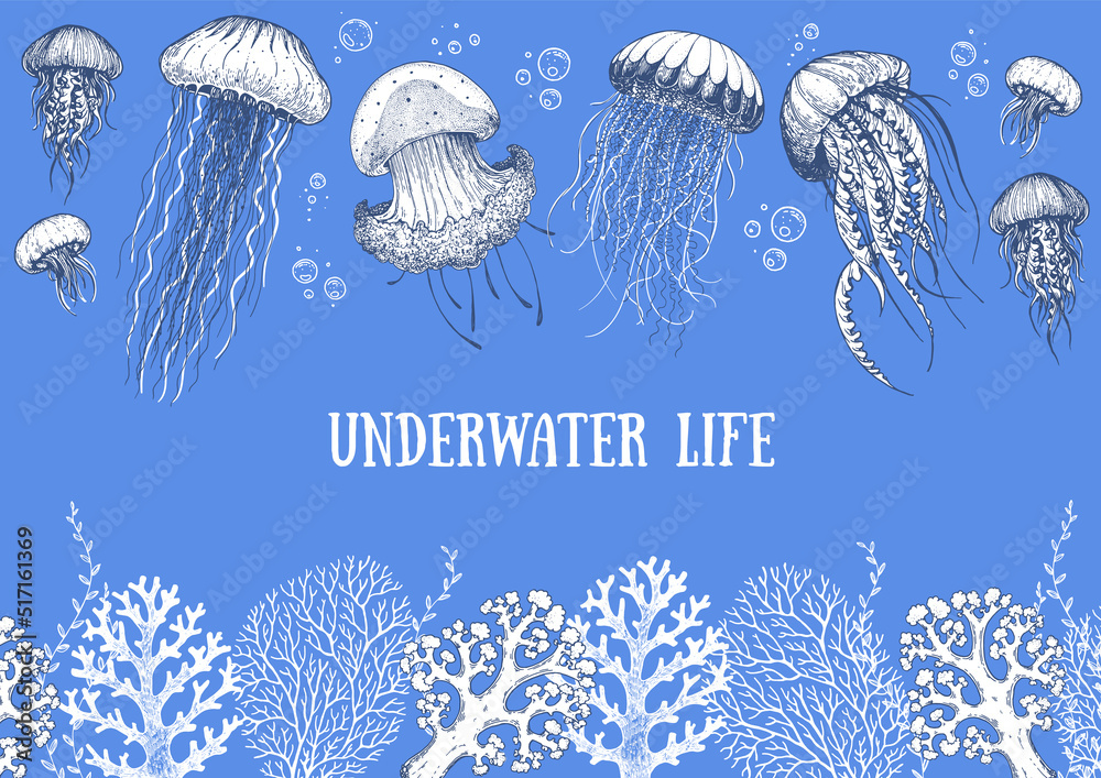 Underwater life. Hand drawn sketch. Vector illustration. Seaweed ...