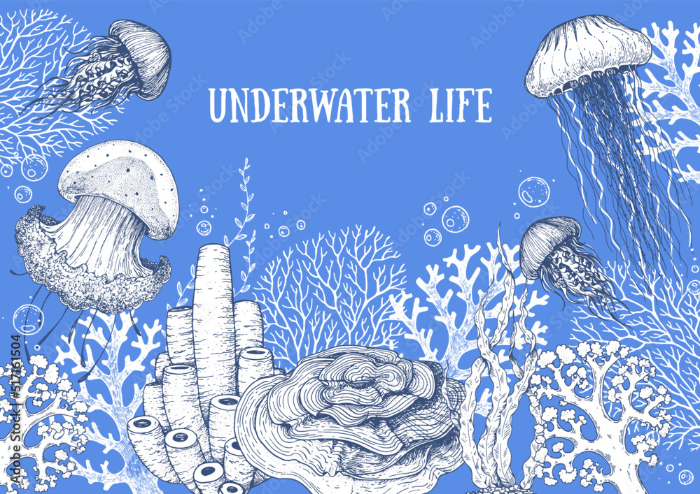 Underwater life. Hand drawn sketch. Vector illustration. Seaweed ...