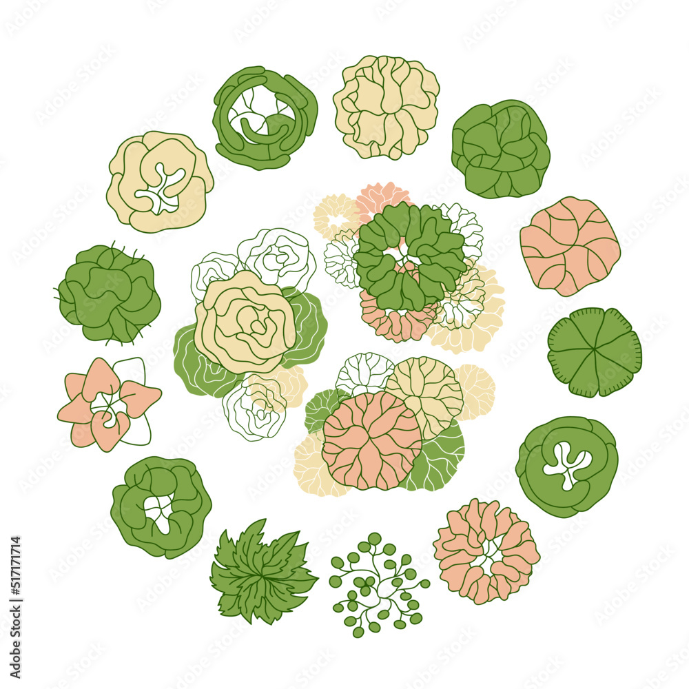 Tree for architectural floor plans. Entourage design. Various trees ...