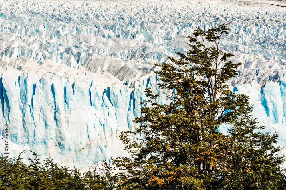 glaciar Perito Moreno , Parque Nacional Los Glaciares, departamento ...