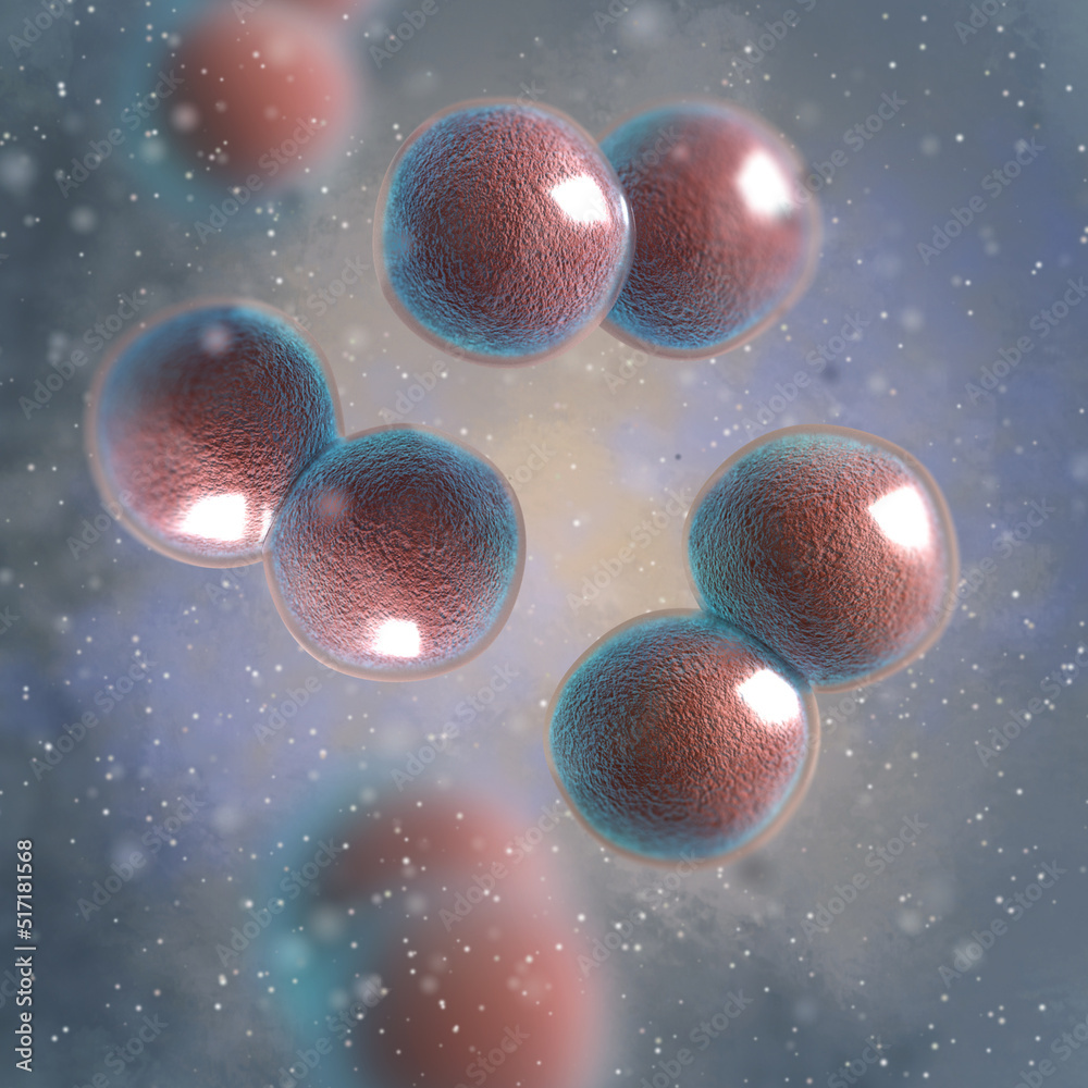 Gonococcus Structure Disease That Causes Neisseria