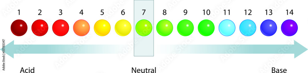 pH value scale chart for acid and alkaline solutions, acid-base balance ...