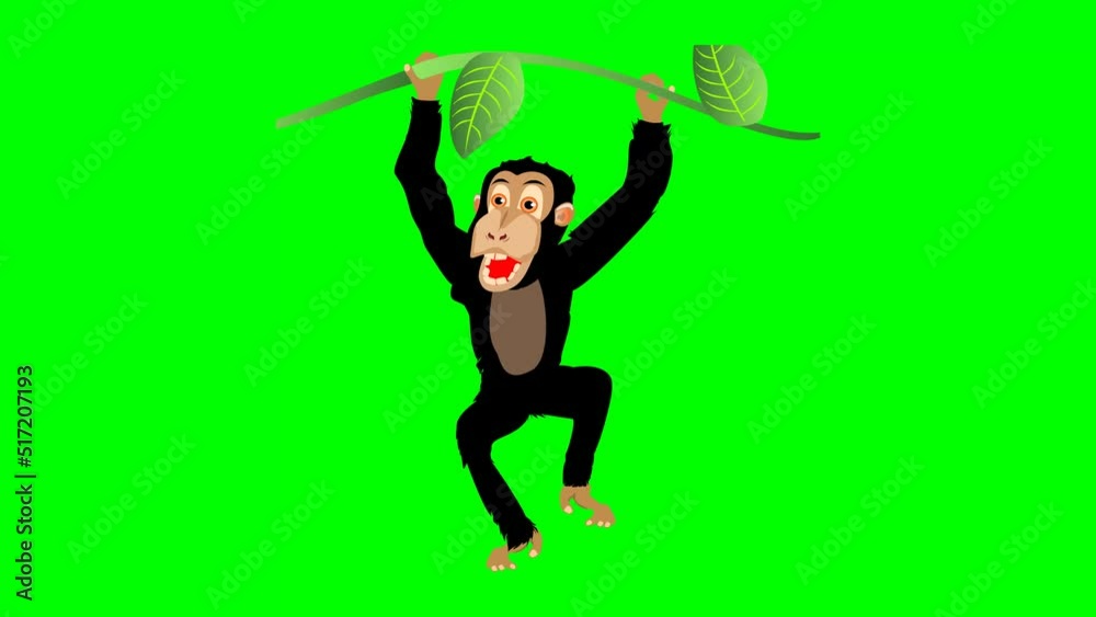 Monkey hanging on the creeper 2d animation green screen Stock Video ...