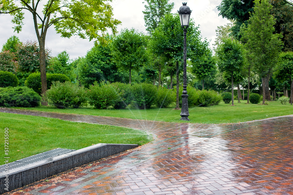 Irrigation system landscaping watering in park with plants, water spray ...