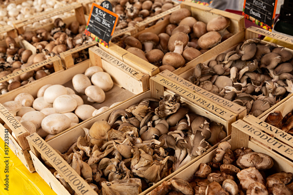 Cajas con setas de diferentes tipos en mercado de Francia. Stock Photo ...