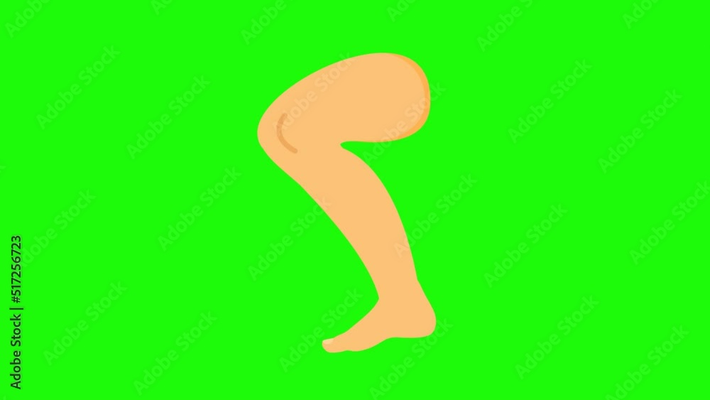 Anatomical Leg icon animation on green background. Animated Anatomical ...