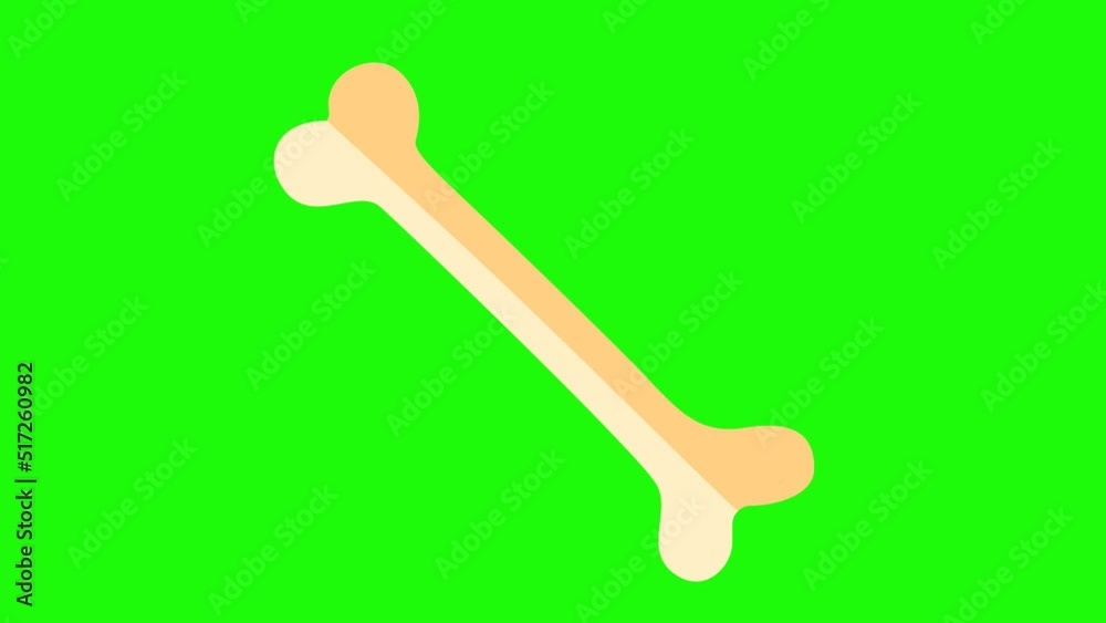 Anatomical Bone icon animation on green background. Animated Anatomical ...