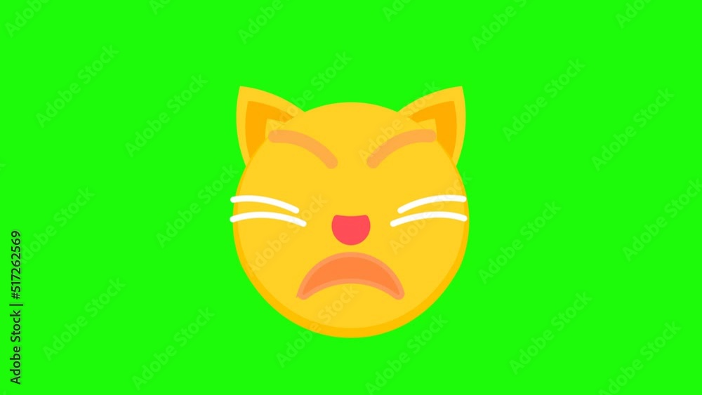 Pouting Cat animation on a green background. Animated cat emoji icons ...