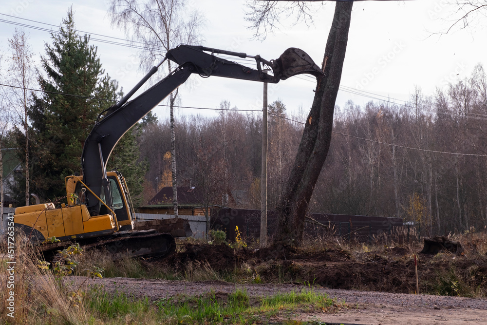 felling of trees and logs to the ground using a tractor loader with a ...
