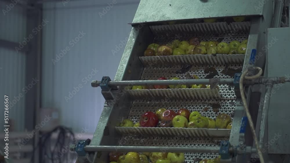 Vertical Conveyor Machine Moves Apples To Alcoholic Drinks Manufacturing Line. Industrial ...