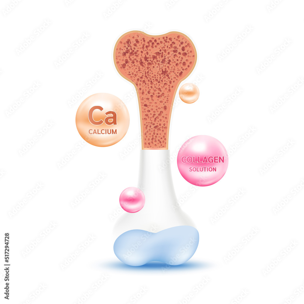 Healthy bone human bone anatomy. Skeleton x ray scan concept. Vitamin ...