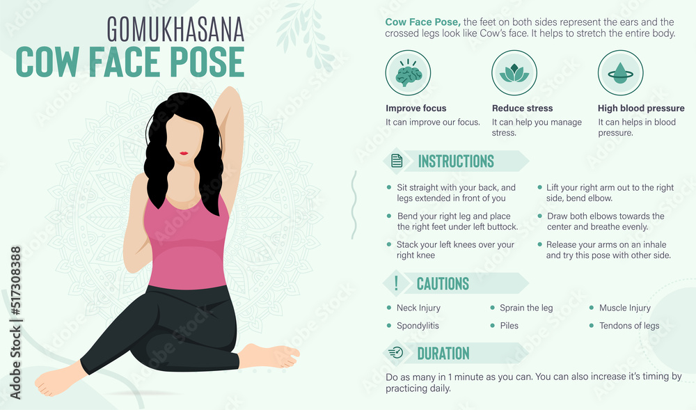 Cow Face Pose Guide and benefits: Yoga poses vector illustration Stock ...