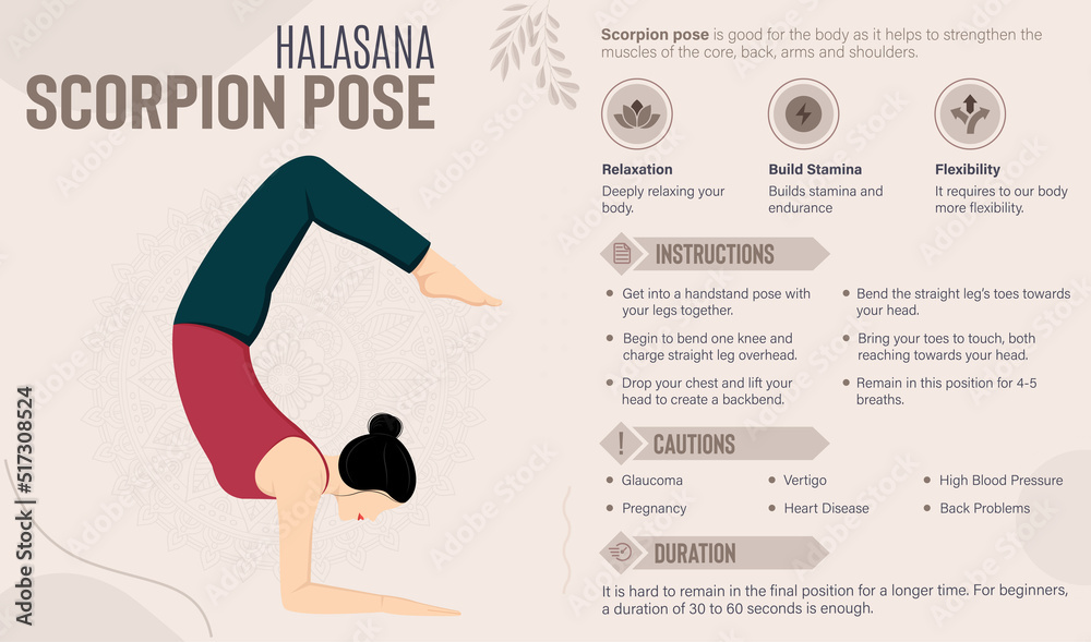Scorpion Pose Guide and benefits: Yoga poses vector illustration Stock ...