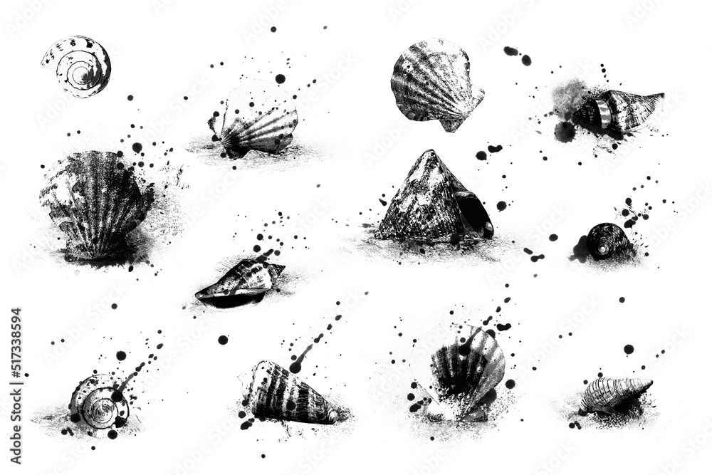 Black seashells compositions set. Clip art, artistic masks on white ...