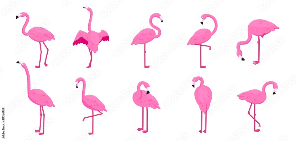 Cartoon flamingo set. Tropical cute pink birds in different poses ...