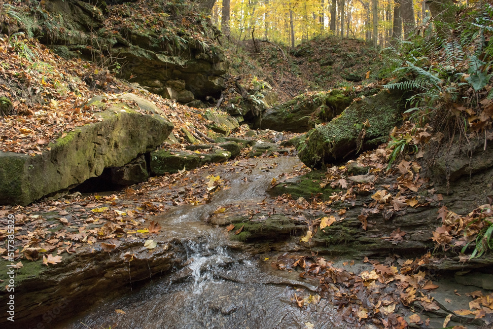 Autumn leaves fall into flowing water and on moss covered rocks making ...