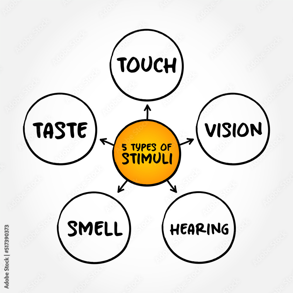 The 5 types of external stimuli - divided into our senses: touch ...