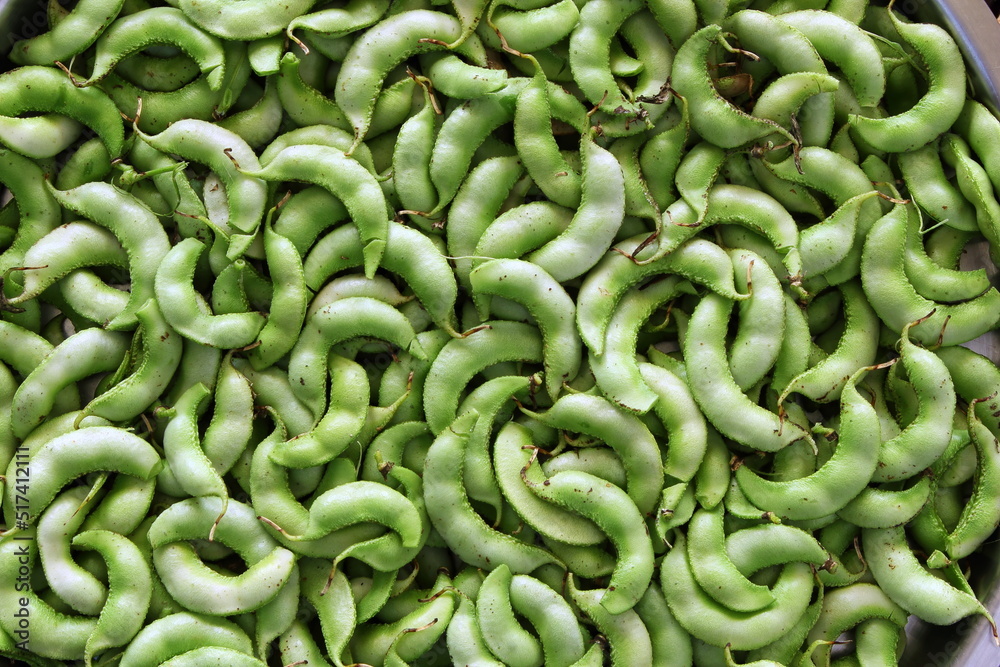 garden fresh valor beans for indian gujarati traditional recipe surti ...