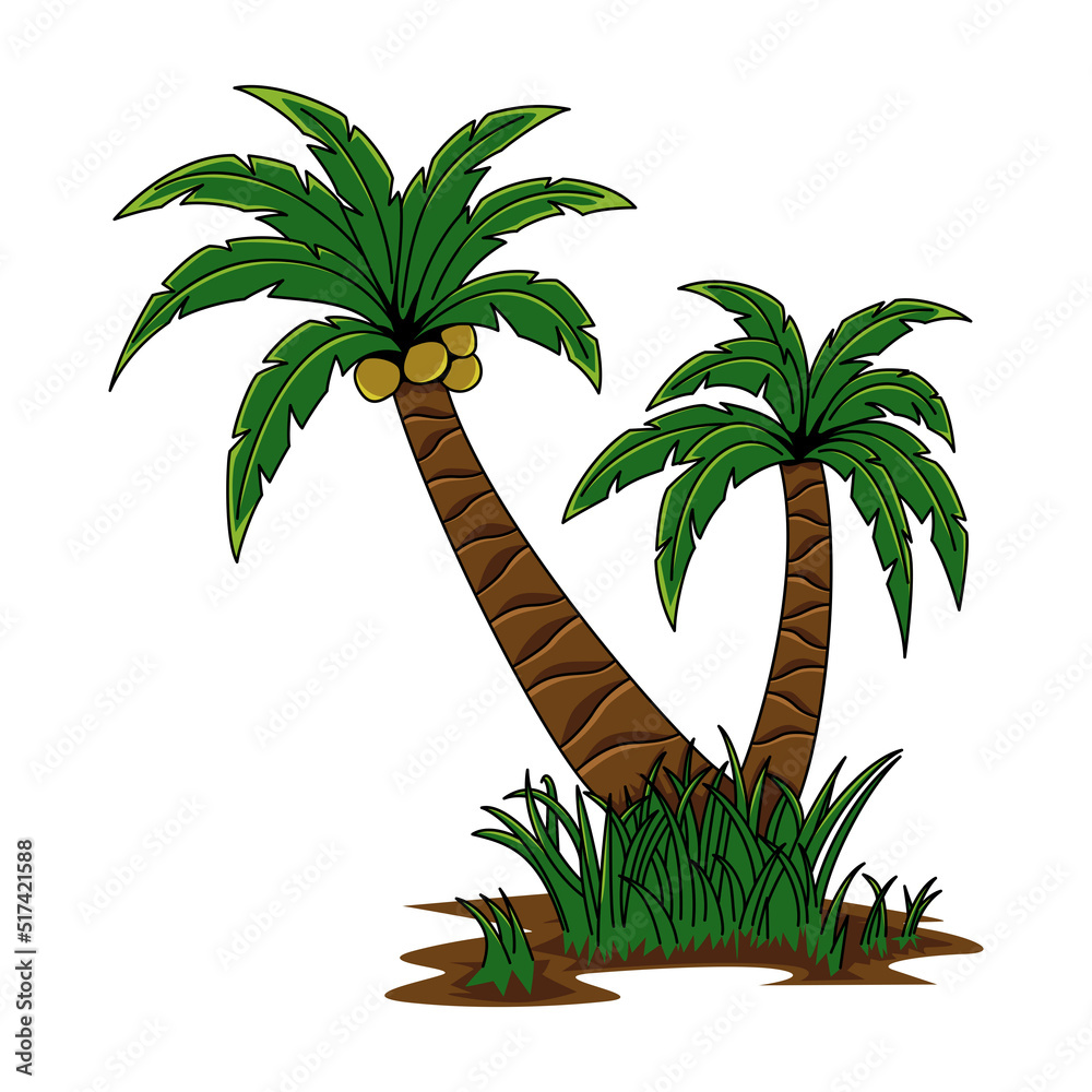 Vector illustration of coconut tree isolated on white background. Fit ...