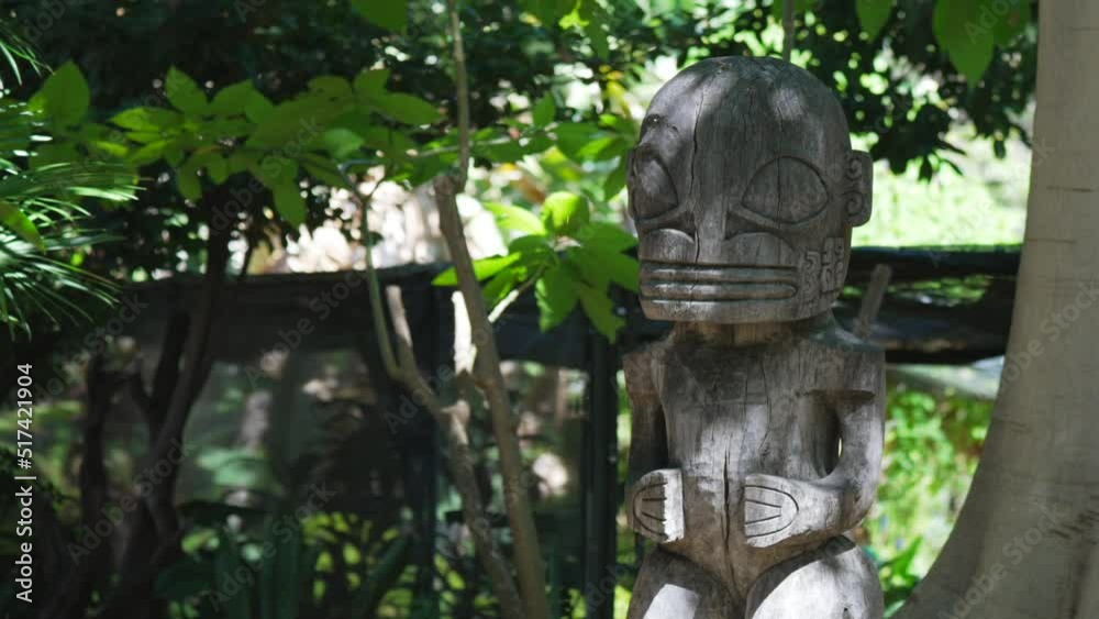 This panning video shows a wood carved tiki statue in a rainforest ...