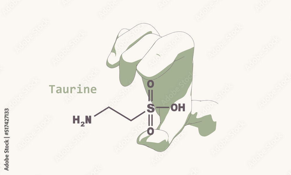 Hand holding chemical molecular formula of taurine. Stock Vector ...