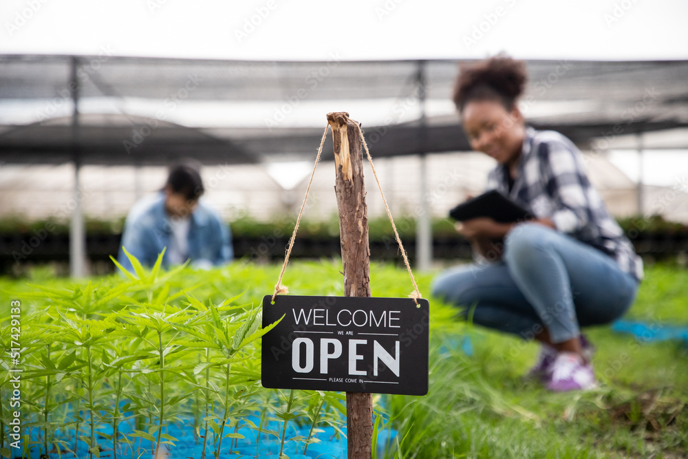 Wooden sign hanging on stump and sign that says 'Welcome we are OPEN ...