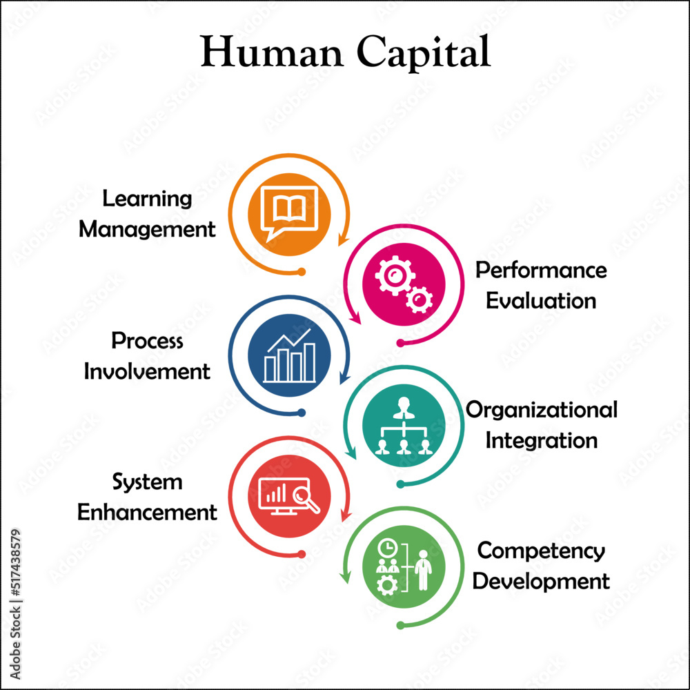Six Human Capital elements in an Infographic template Stock Vector ...