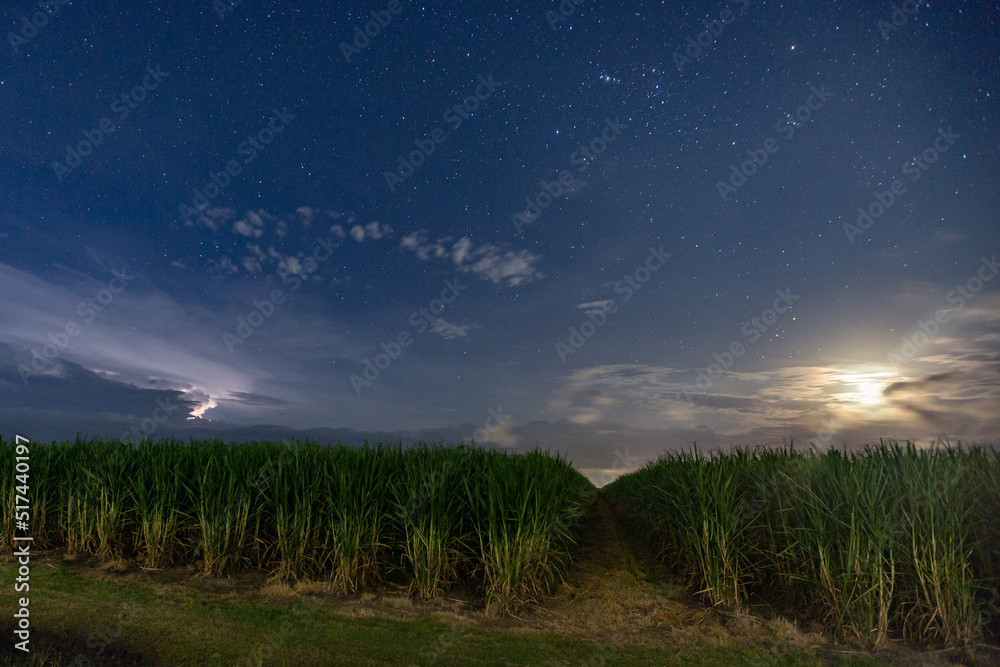 lightning over cane fields Stock Photo | Adobe Stock
